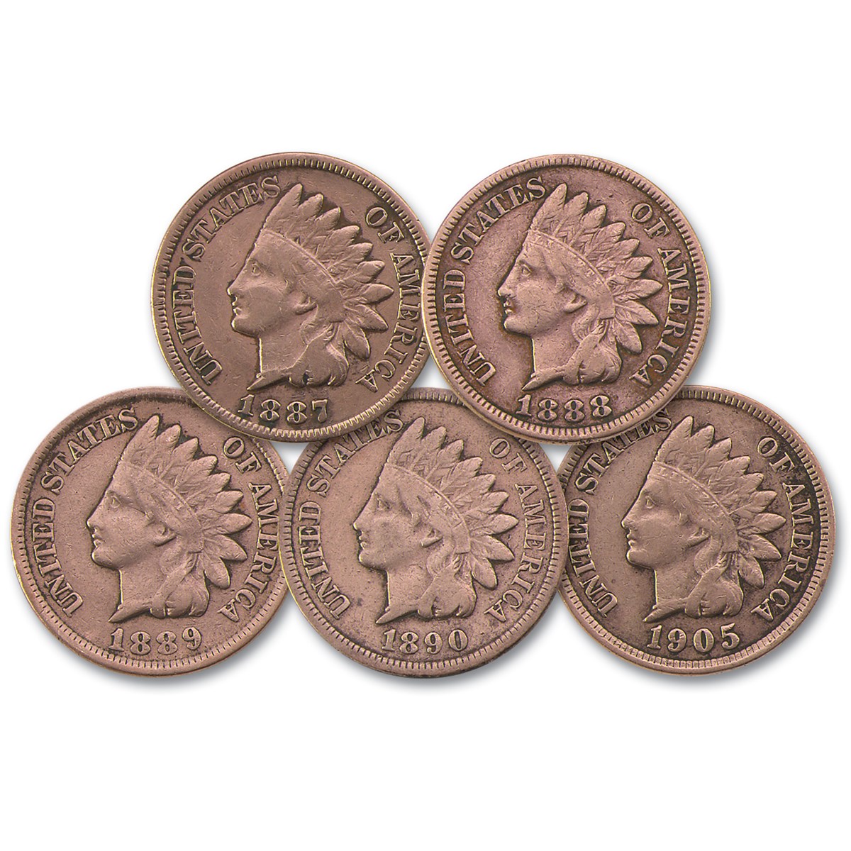 5-Piece Indian Head Penny Collection Set | Collections Etc.