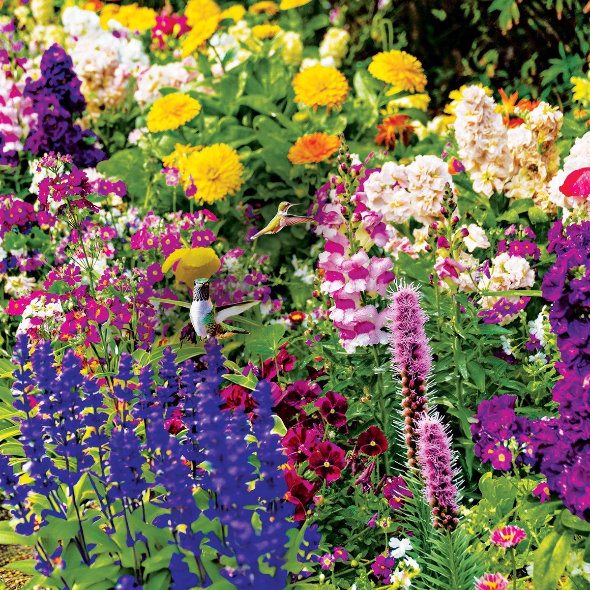 Hummingbird Haven 5-Foot Long Roll-Out Seed Mat | Collections Etc.