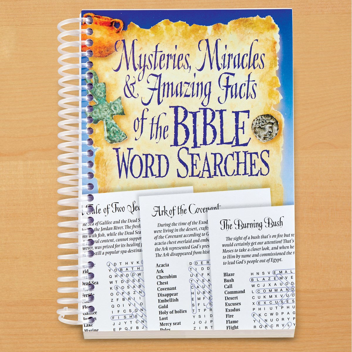 Mysteries, Miracles & Amazing Facts of the Bible Word Search Book ...