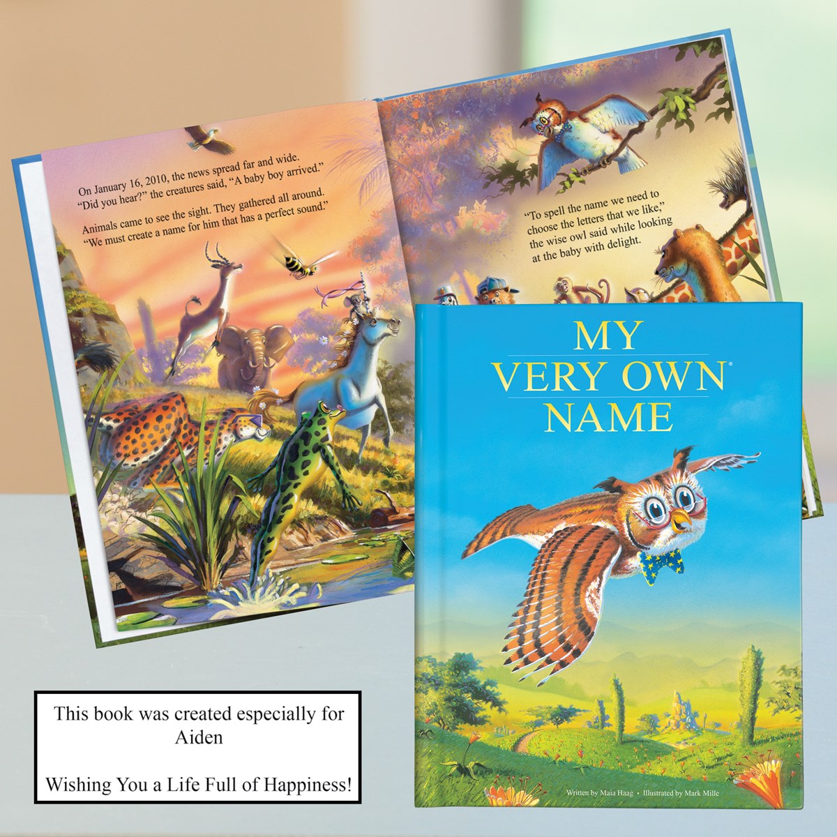 Personalized My Very Own Name Childrens Storybook | Collections Etc.